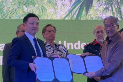 Bamboo Plantation to be Developed in Samalaju - Pertama FerroAlloys